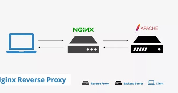 How to configuration for nginx, apache, varnish cache - Jundat95
