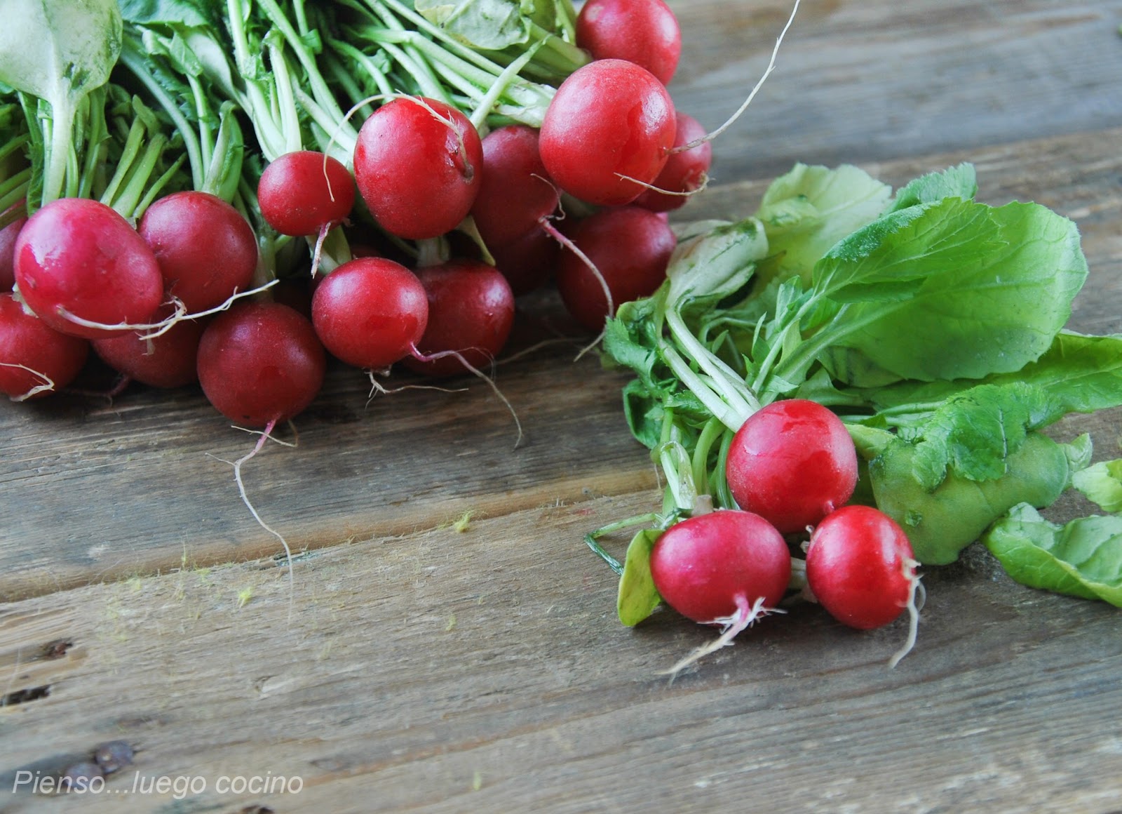 Pienso...luego cocino: Rábanos