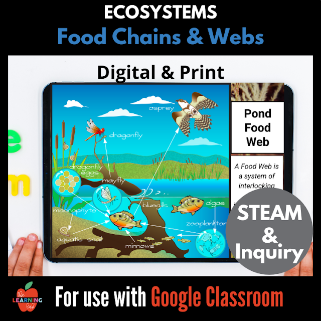 Ecosystem Interdependence through Food Chains and Food Webs: DISTANCE ...
