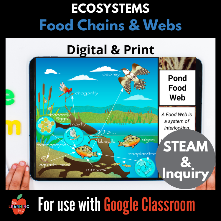 Ecosystem Interdependence through Food Chains and Food Webs: DISTANCE ...