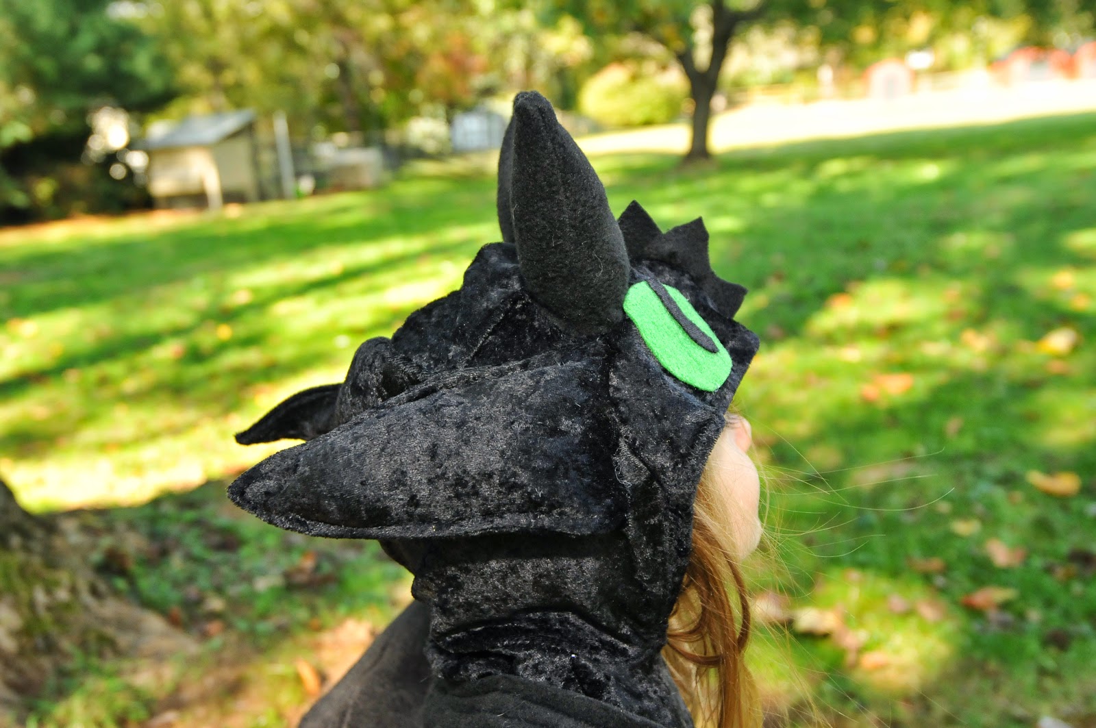 Two-many: Night Fury Costume