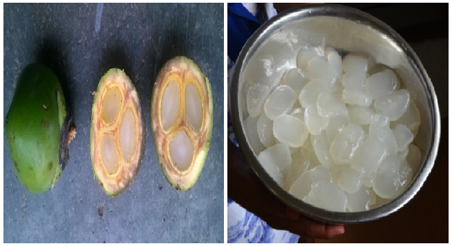 Ternyata Mengkonsumsi Kolang-Kaling, Solusi Ampuh Bagi Anda yang ...