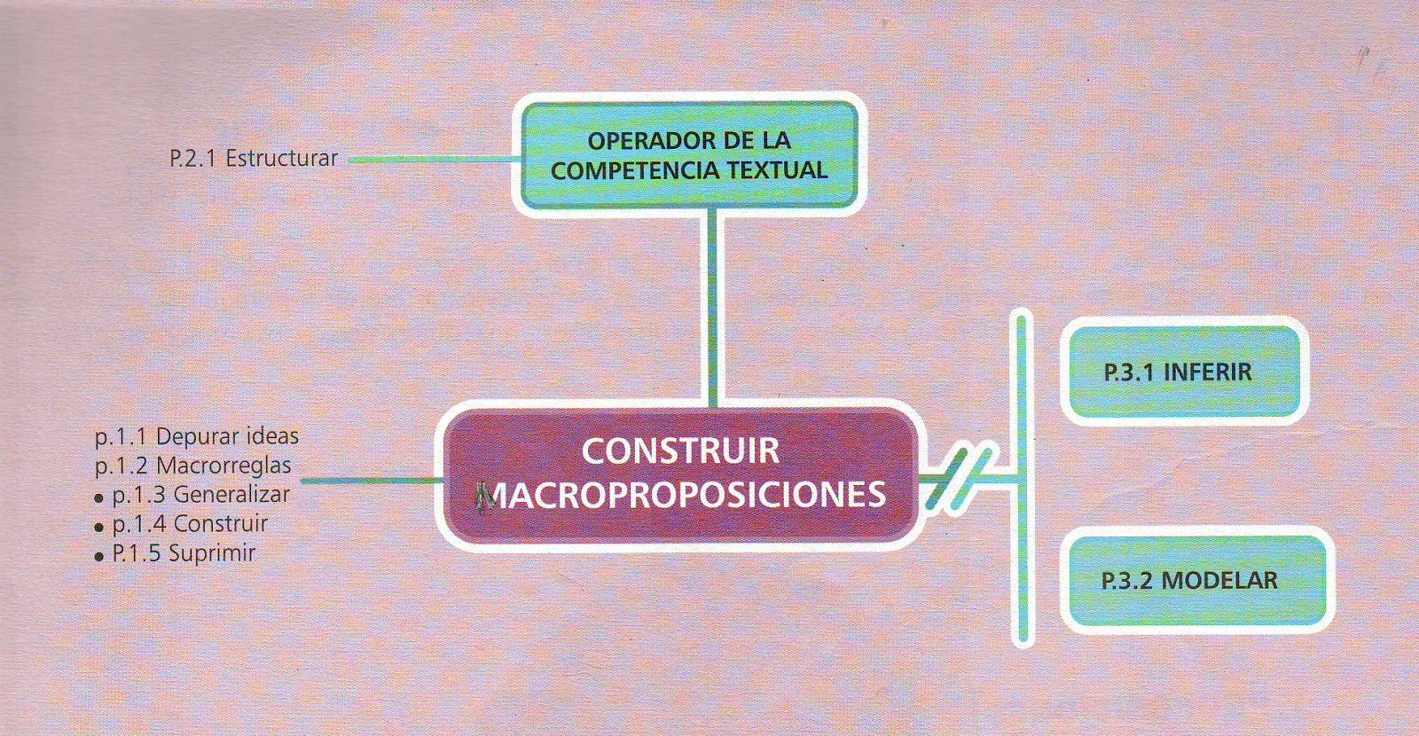 MODELO LECTOR ÒPTIMO: COMPETENCIA TEXTUAL
