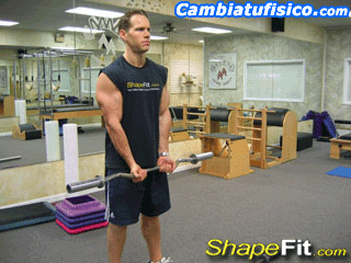 Curl con barra Z - Educación y Ejercicio