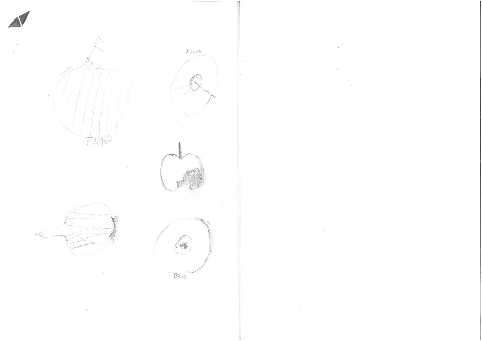 Level 2 diploma : Drawing Objects