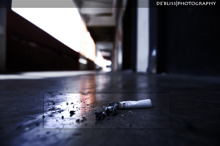 20 MANFAAT ROKOK YANG HARUS KAMU KETAHUI! | Kampus Milyarder