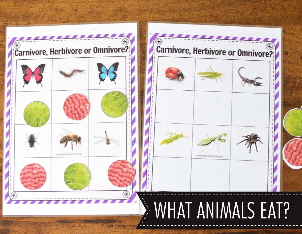 Safari Toob Theme Teaching Resources | The Pinay Homeschooler