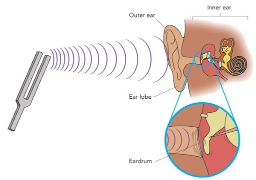 class 8 Sound Short notes science chapter 13 - Reliable Education Group