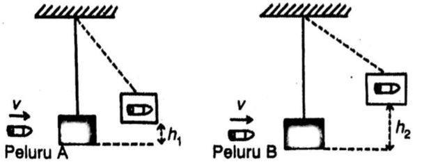 Perhatikan gambar berikut! Sebutir peluru ditembakkan dari senapan A ke ...