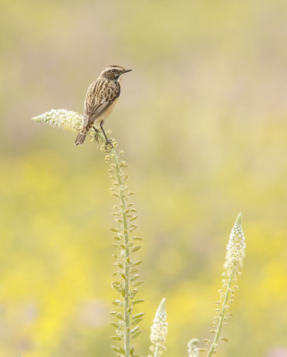 Nikos Fokas Photopraphy Blog