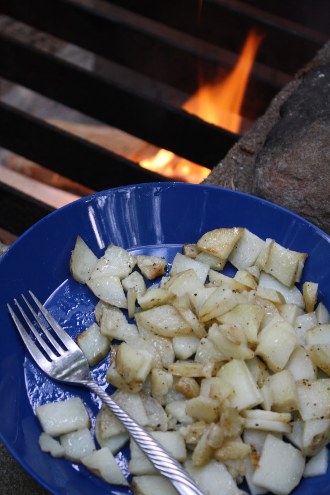 Friday Foto: Campfire Cookin’