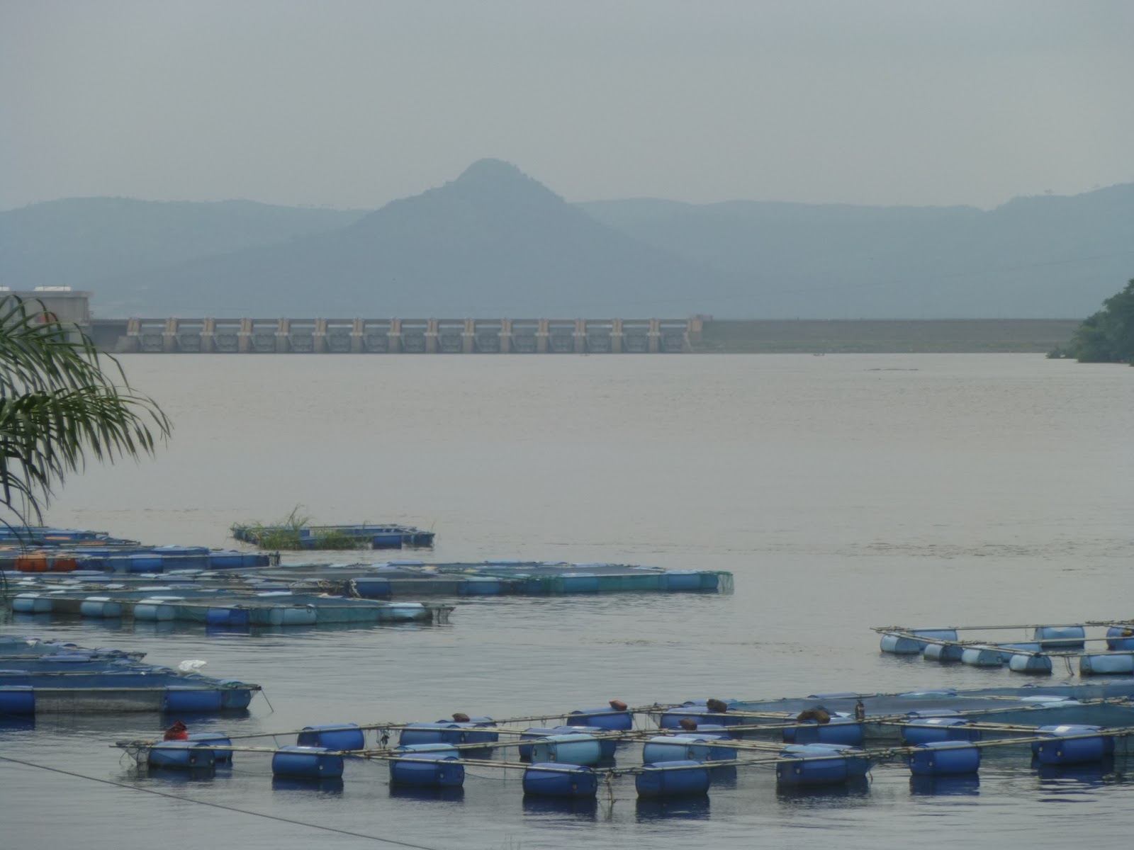 Elder Kade Edler Eppich: "The dang dog jumps up and bites my ankle!"