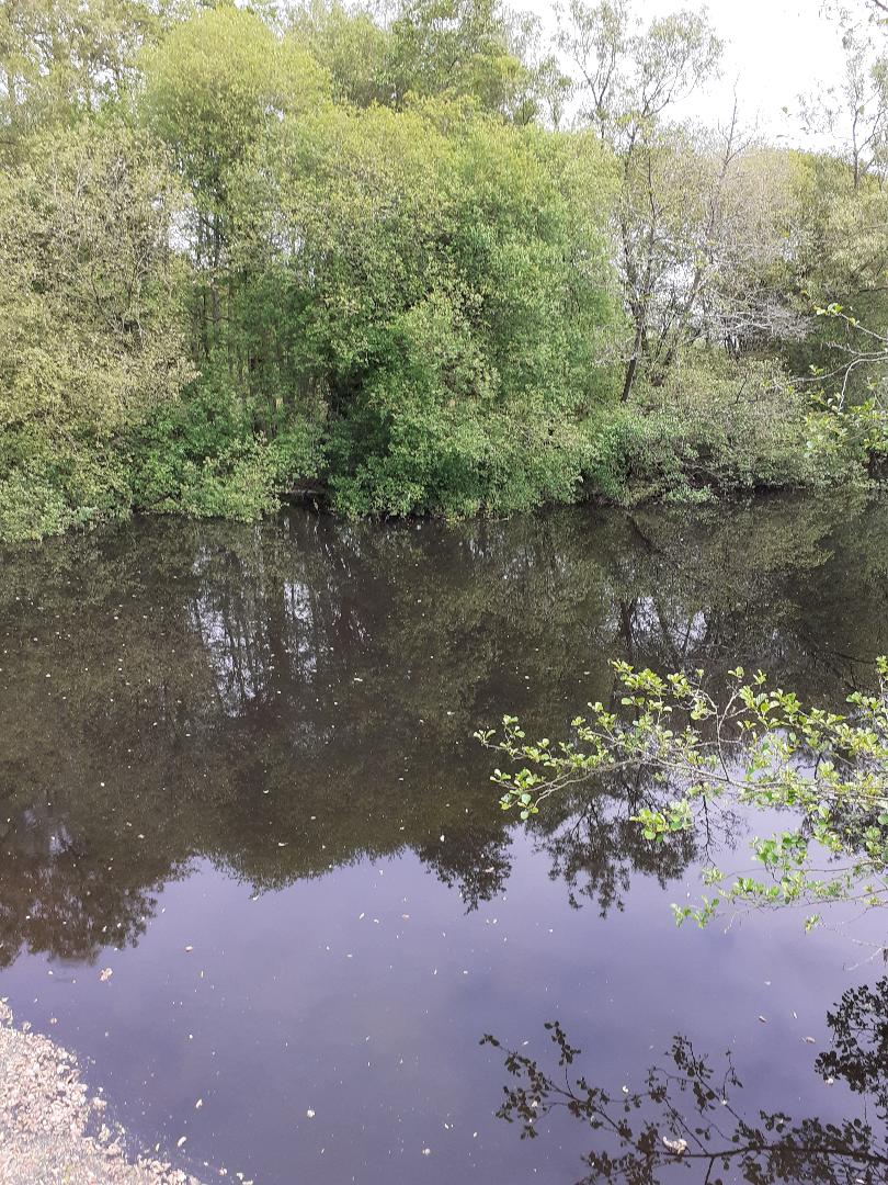 Andrew Simpson: A Country Park ……. a big bit of history …….. and the ...