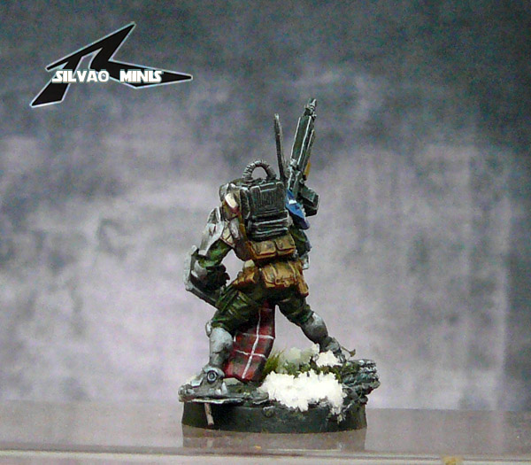 Silvao minis: Caledonian Mormaer