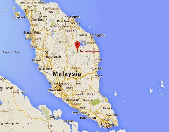 Nuotykiai Azijoje: Taman Negara, Malaizija