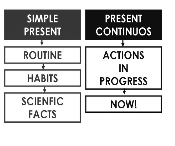 You and I: A2 LESSON 7 : ¿Rutinas o acciones en progreso?