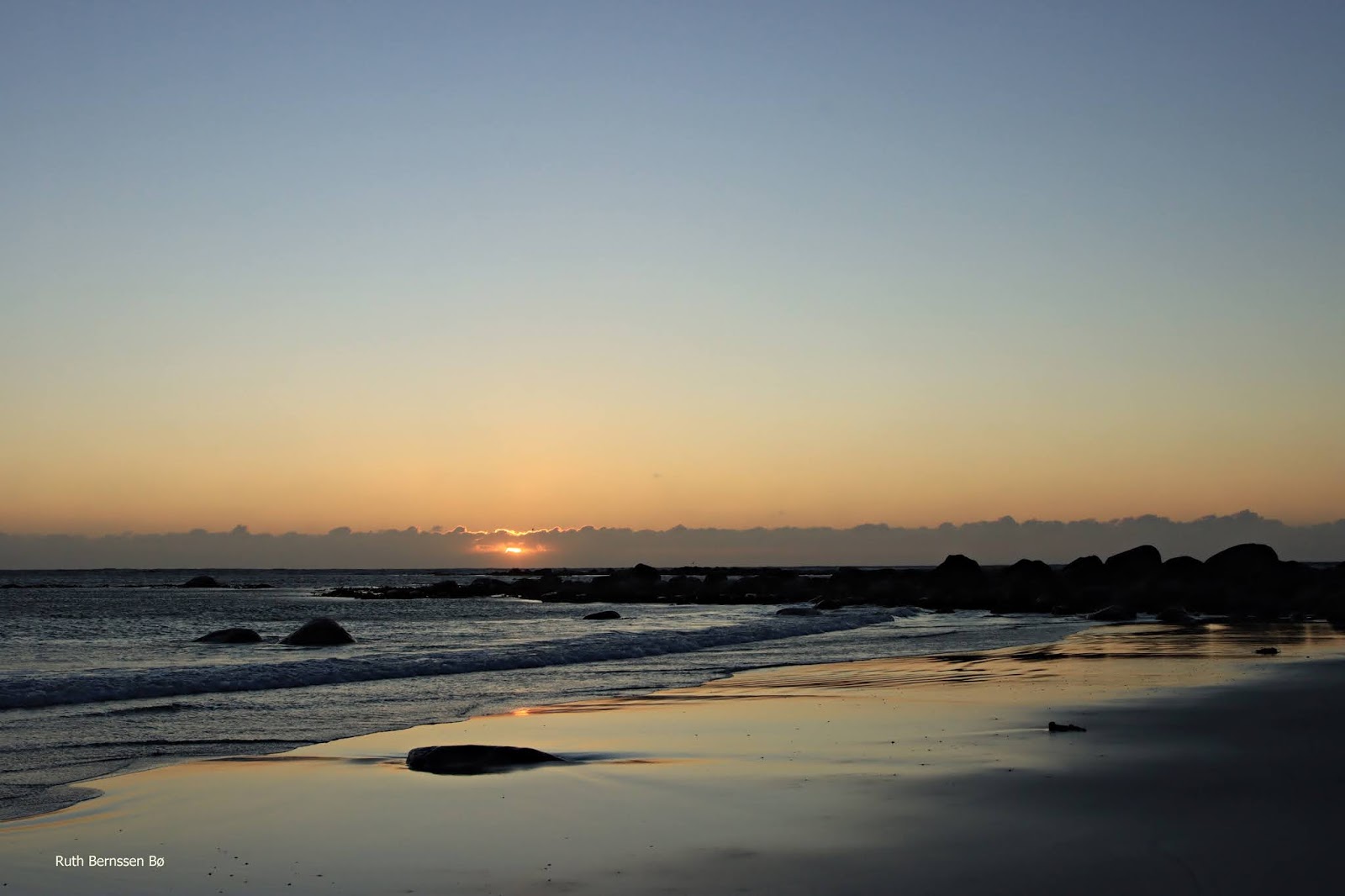 solsikken: sol opp og sol ned..