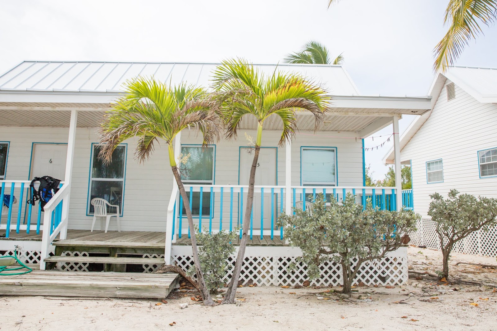 Alice Gostick: Things to do in Grand Cayman - Visit Little Cayman