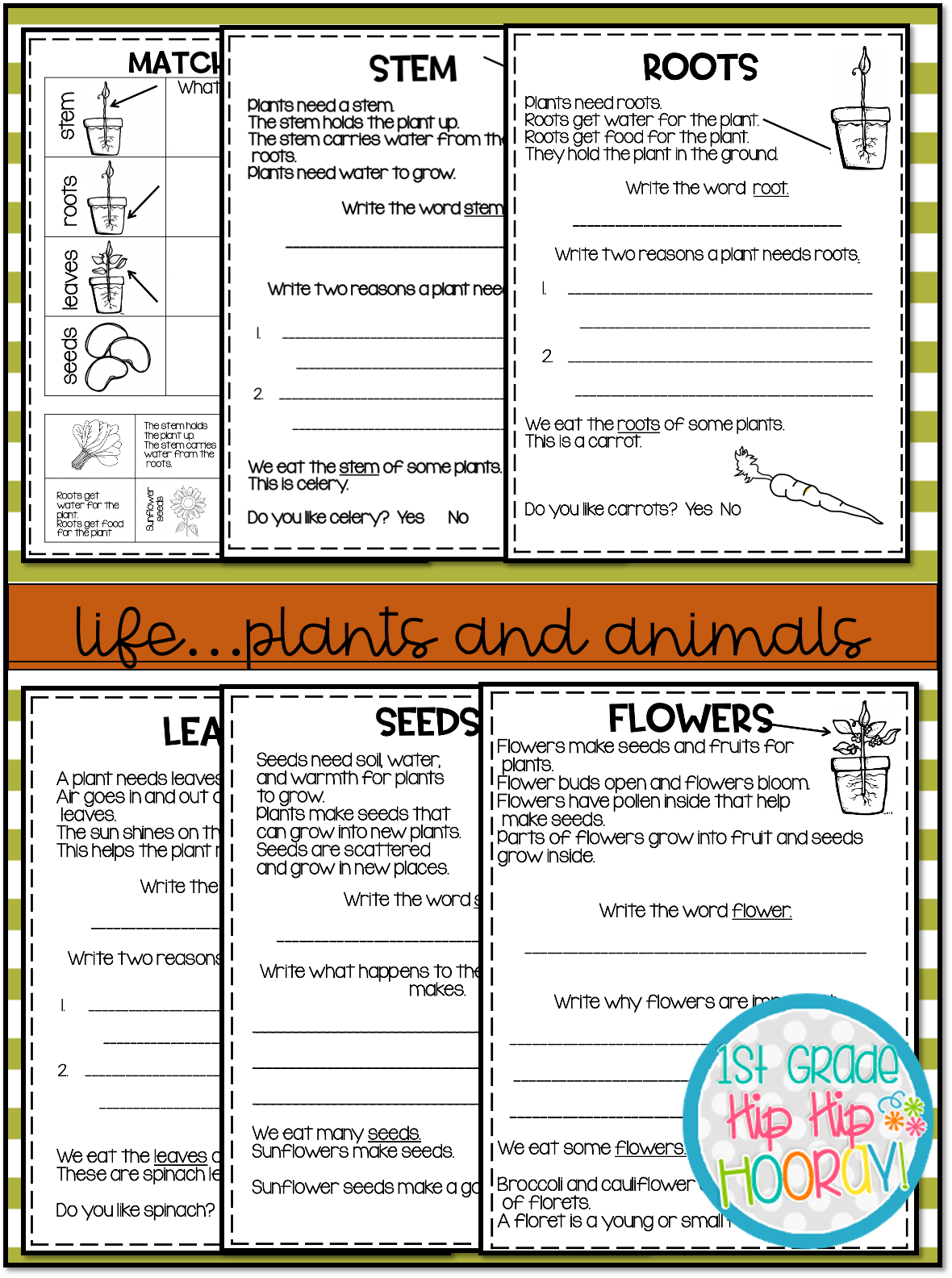 1st Grade Hip Hip Hooray!: NGSS... Life Science...Exploring Plants and ...