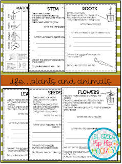 1st Grade Hip Hip Hooray!: NGSS... Life Science...Exploring Plants and ...