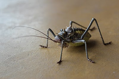 The Life And Times of Louis And Amber: The Life & Times of Louis ...