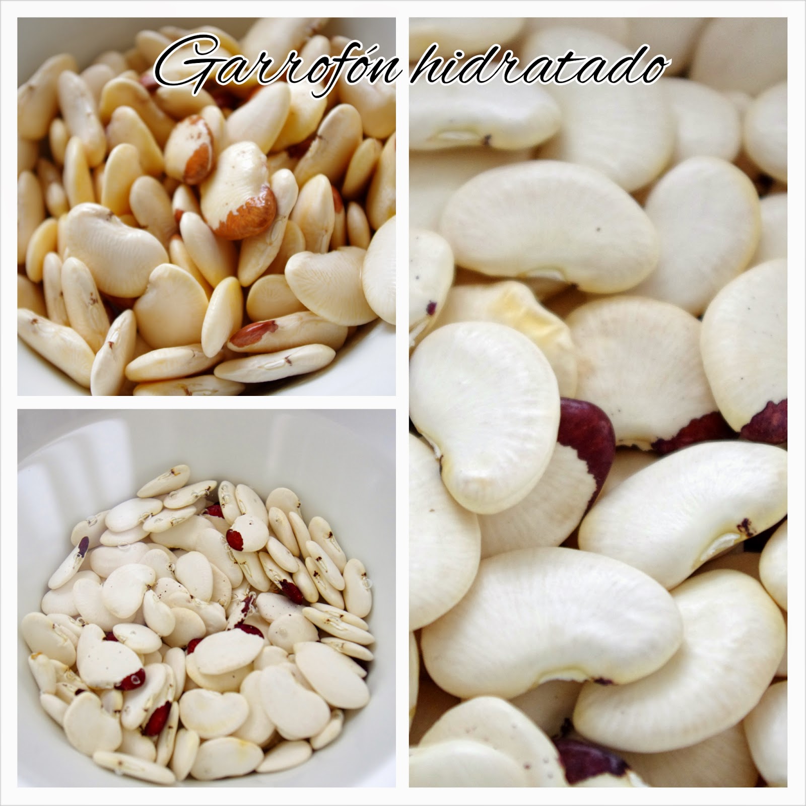 Fentdetutto: Falafel de garrofón con salsa de yogur, Garam Masala y AOVE