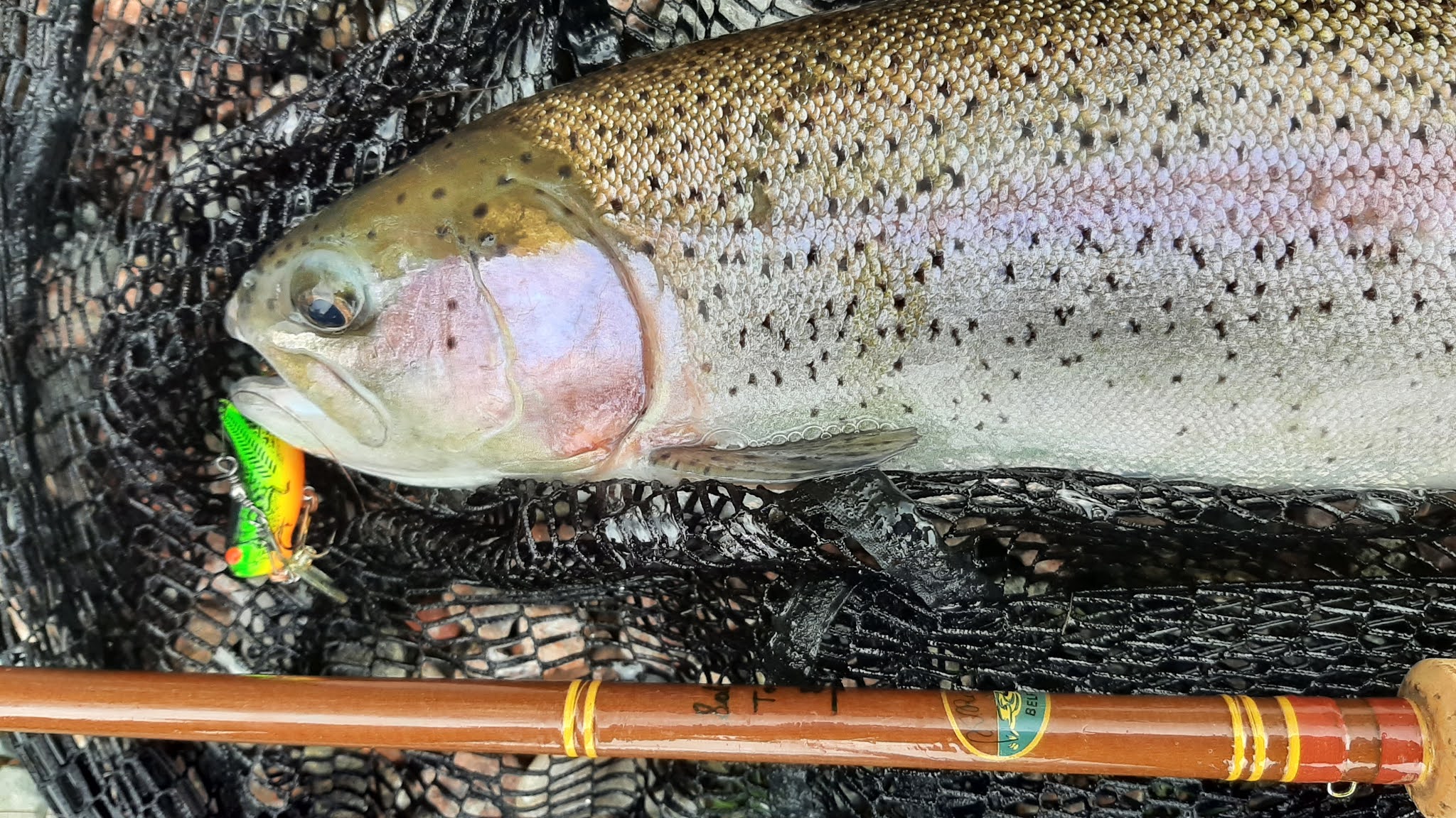 Buzzard Bushcraft Mini Crankbaits For Trout