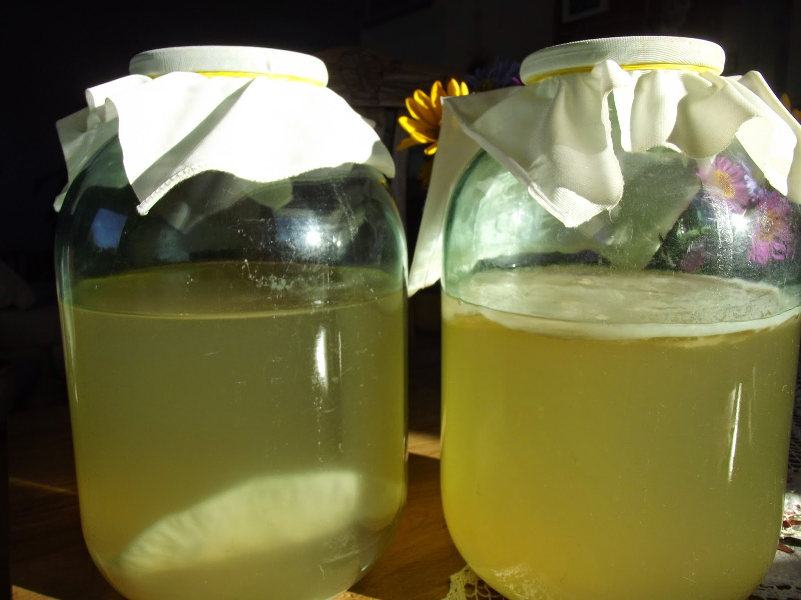 Tortilla: OBUOLIŲ ACTAS IR ARBATOS GRYBAS