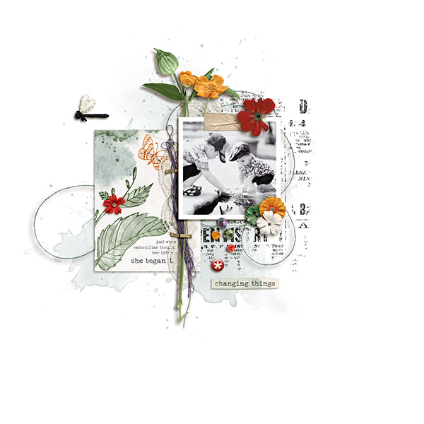 pink reptile designs: JUNE BYOC | METAMORPHOSIS