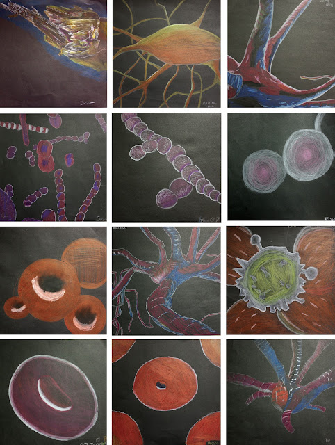 BCC Canada Art Studio: Observation Drawing of Cell