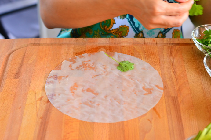 Kiisukeauh: Kevadrullid.