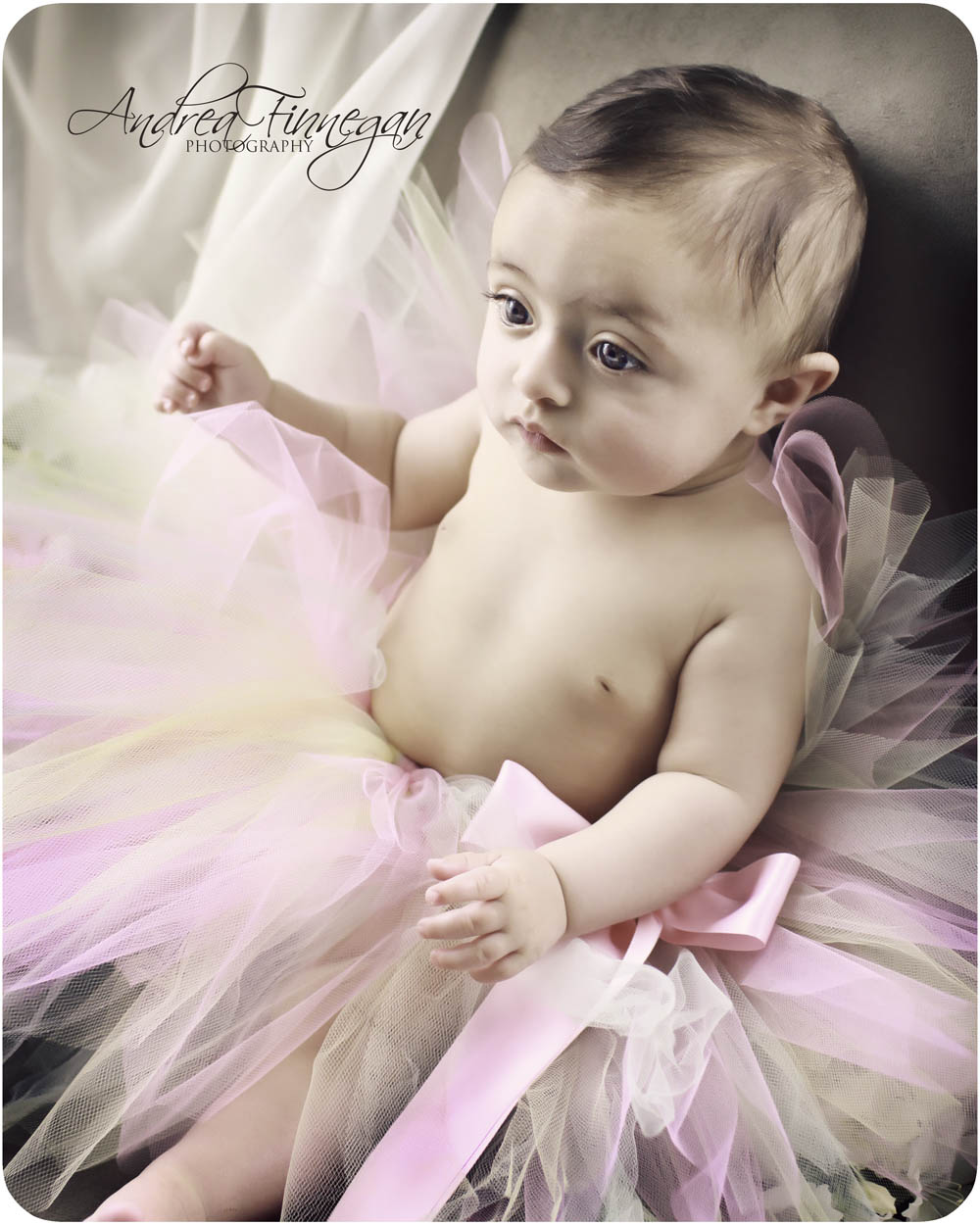 Andrea Finnegan Photography: Spring 2011 Tutu Modeling Contest Winner
