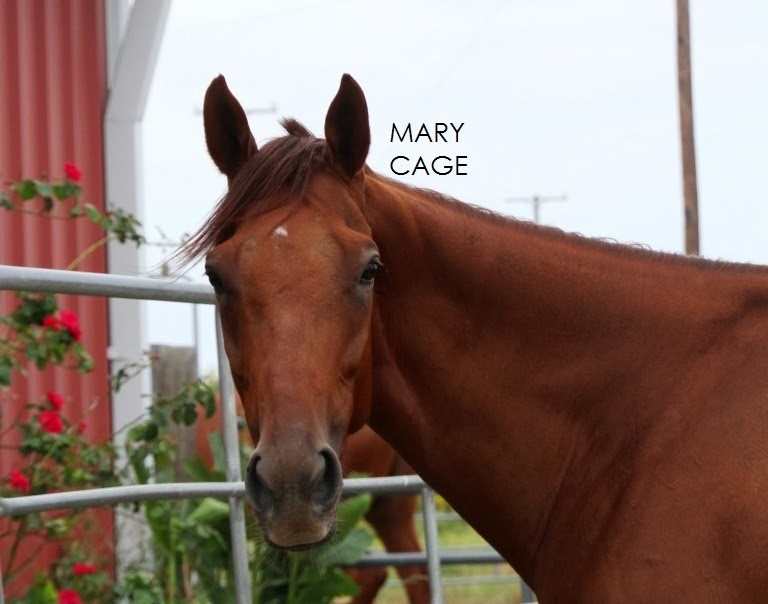 Past the Grandstand: Miss Fifty: One Year Together