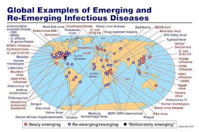 Where the Heck is Marinduque?: Popular Named Diseases, Disorders and ...