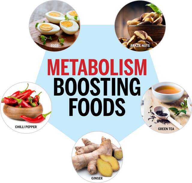 Metabolism: Why is it important, How to boost Metabolism, Nutrients Metabolism and Energy