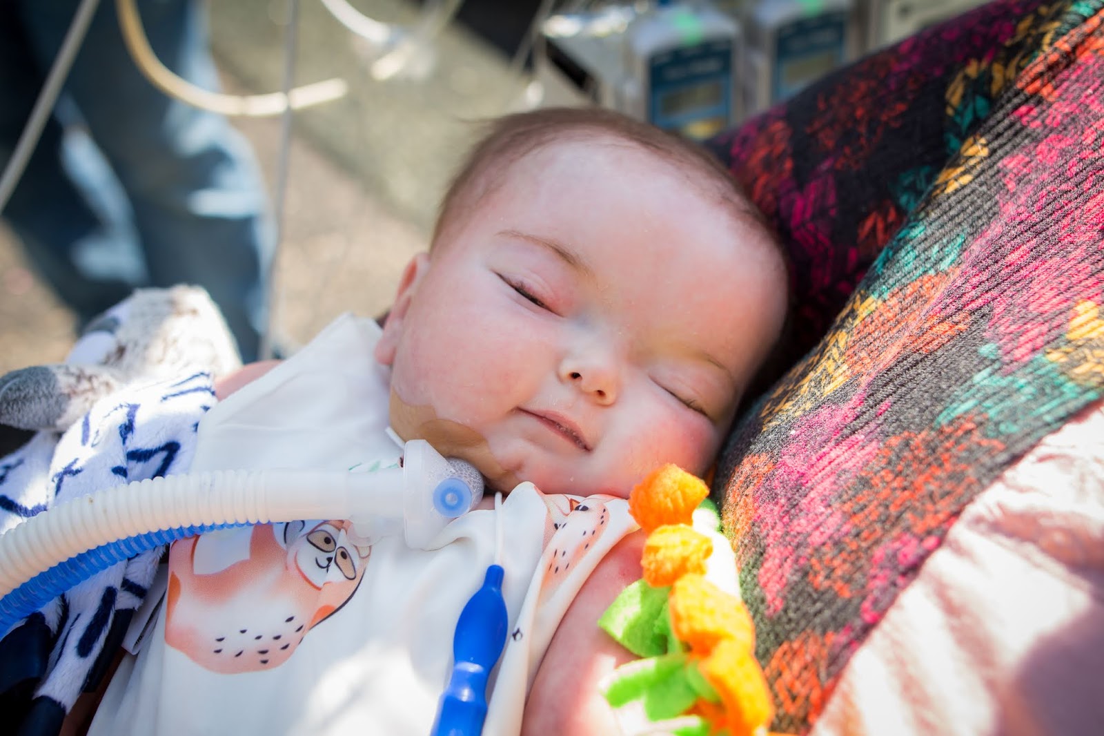 The Spencer's Adventures