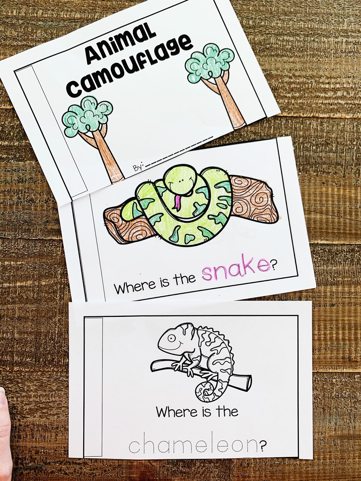 Rainforest ELA Unit for Kindergarten and 1st Grade | Busy Hands and Minds