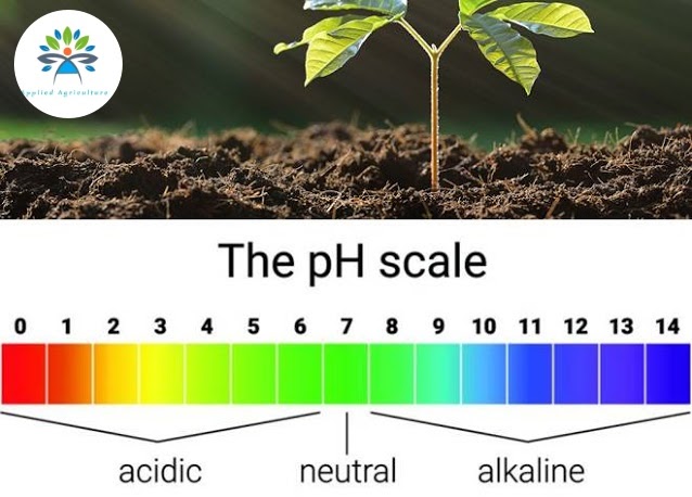 How To Correct Acidic, Alkaline And Saline Soils | Applied Agriculture