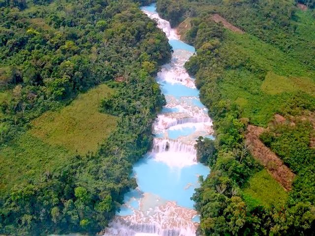 s i x s e n s e s: Where j u n g l e Meets s e a