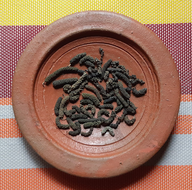 Indian Spice- Piper Longum/Indian Long Pepper/Arisi Thippili/Pipli ...