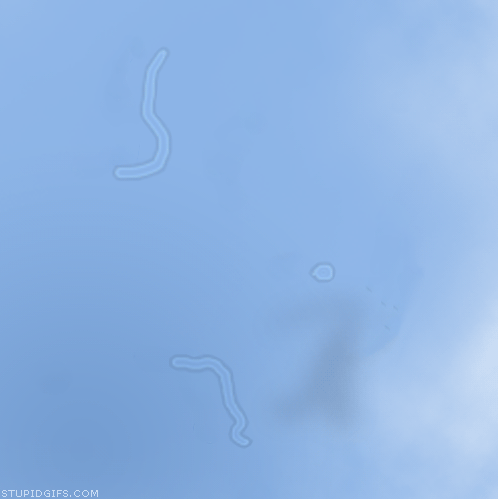 The Monkey Buddha: Eye Floaters