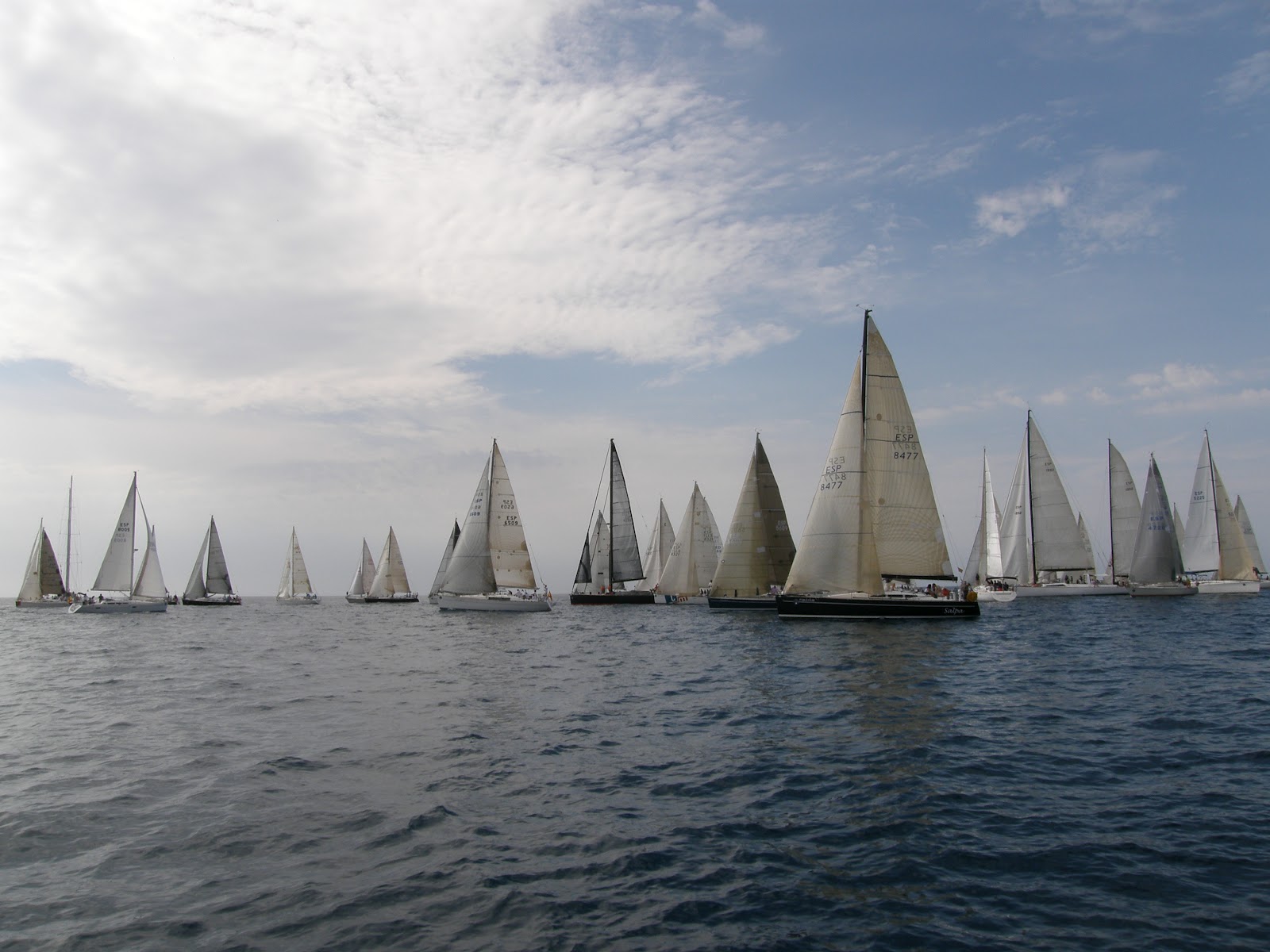 Sinunai, ese velero: REGATAS DE ALTURA EN VELERO