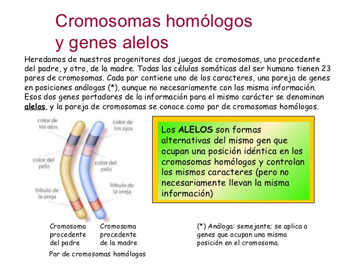 Ciencias Naturales Juan Pablo II: 9 TERCER PERIODO