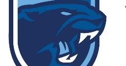 Franklin Matters: FHS Panthers had seven individuals reach their championship wrestling match