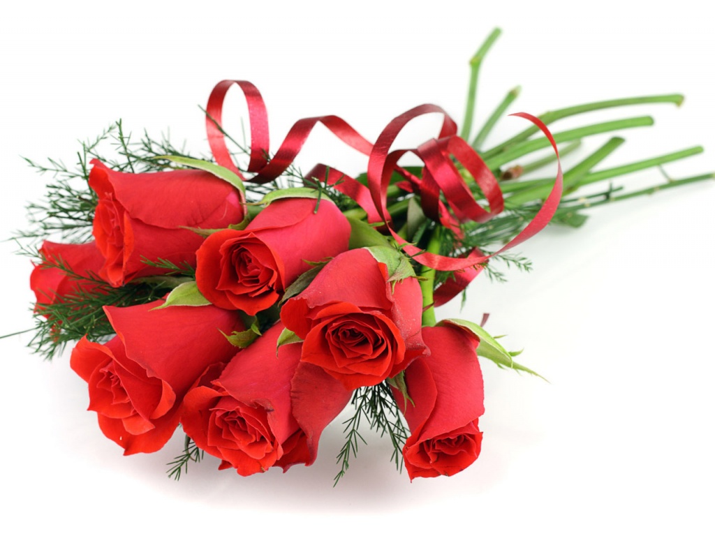 Happy rose day 2016 HD wallpapers « Valentine Masti 2016