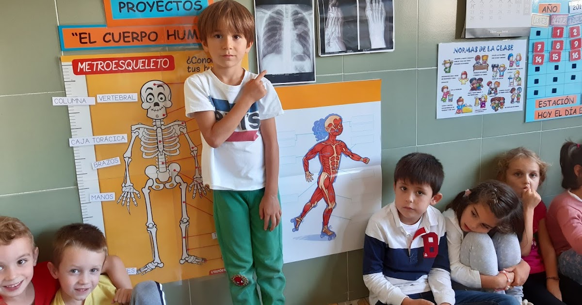 Explorando el mundo en 1º: Nuestro primer proyecto: El cuerpo humano
