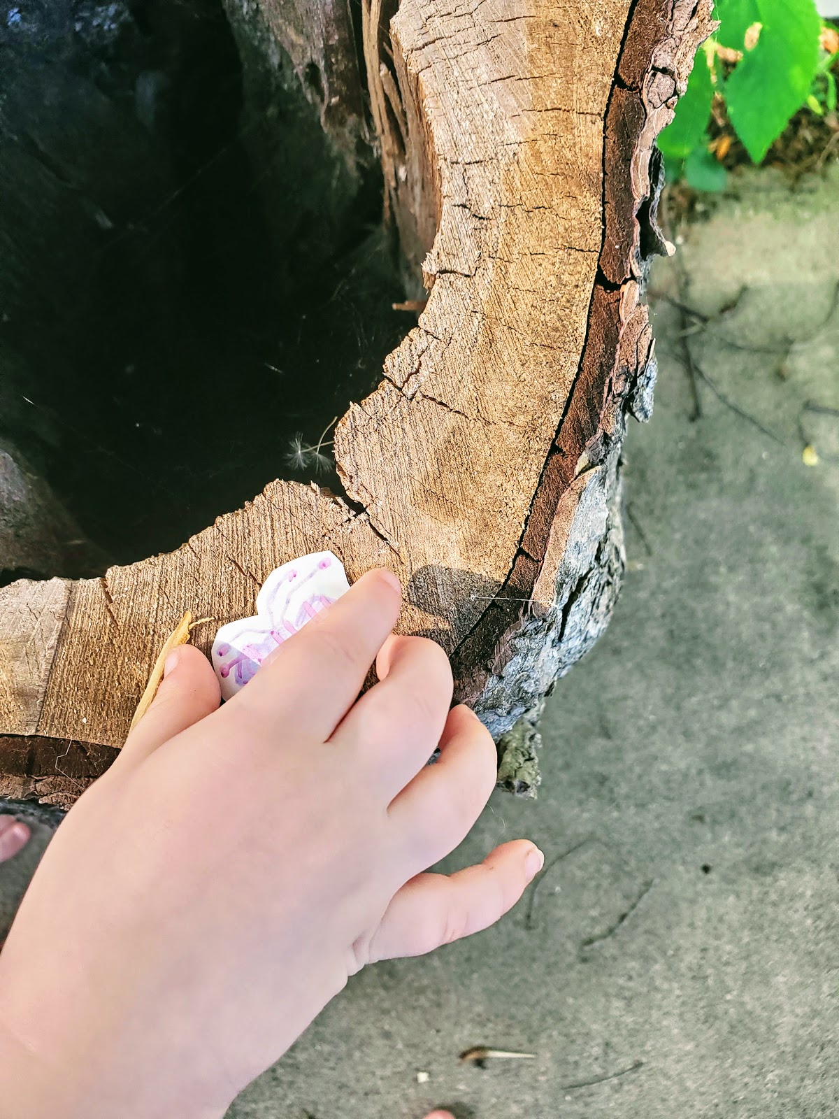 Hello, Wild Things: Going on a Bug Hunt