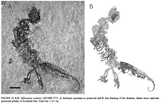 Waxing Paleontological: Monkey Lizards of the Triassic