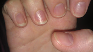 Leanne Marie: Two Week Nail Growth Project