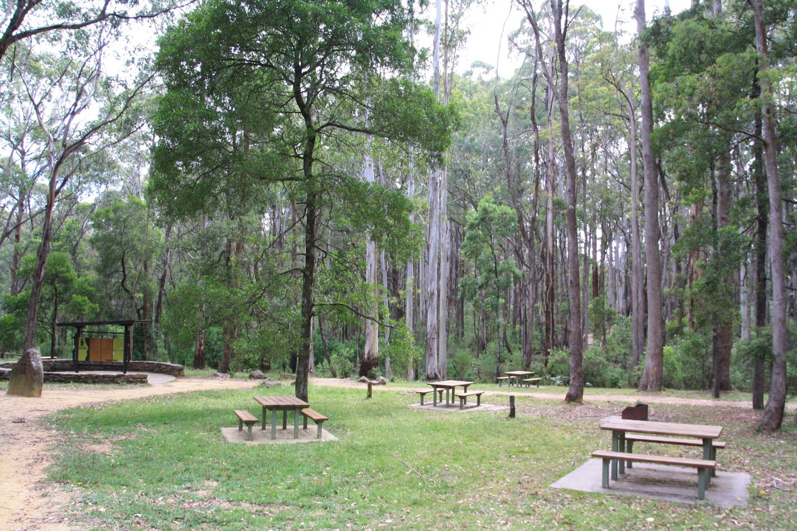 RDO Melbourne: Stringybark Creek, Tolmie